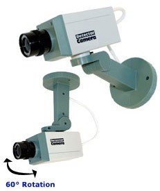 Indoor Dummy Camera